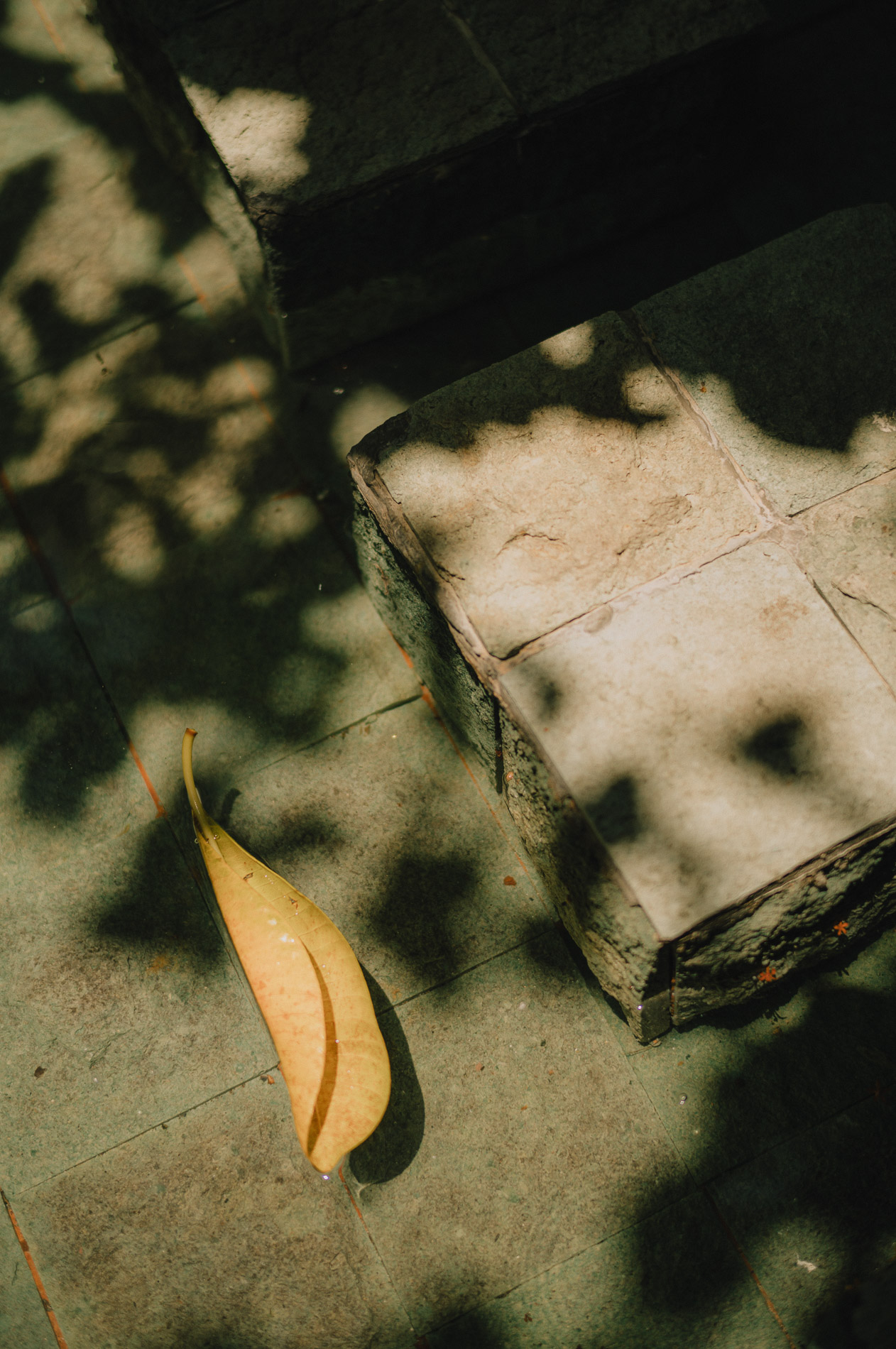 MΛRKUS EDGΛR RUF - MΛRKUS EDGΛR RUF